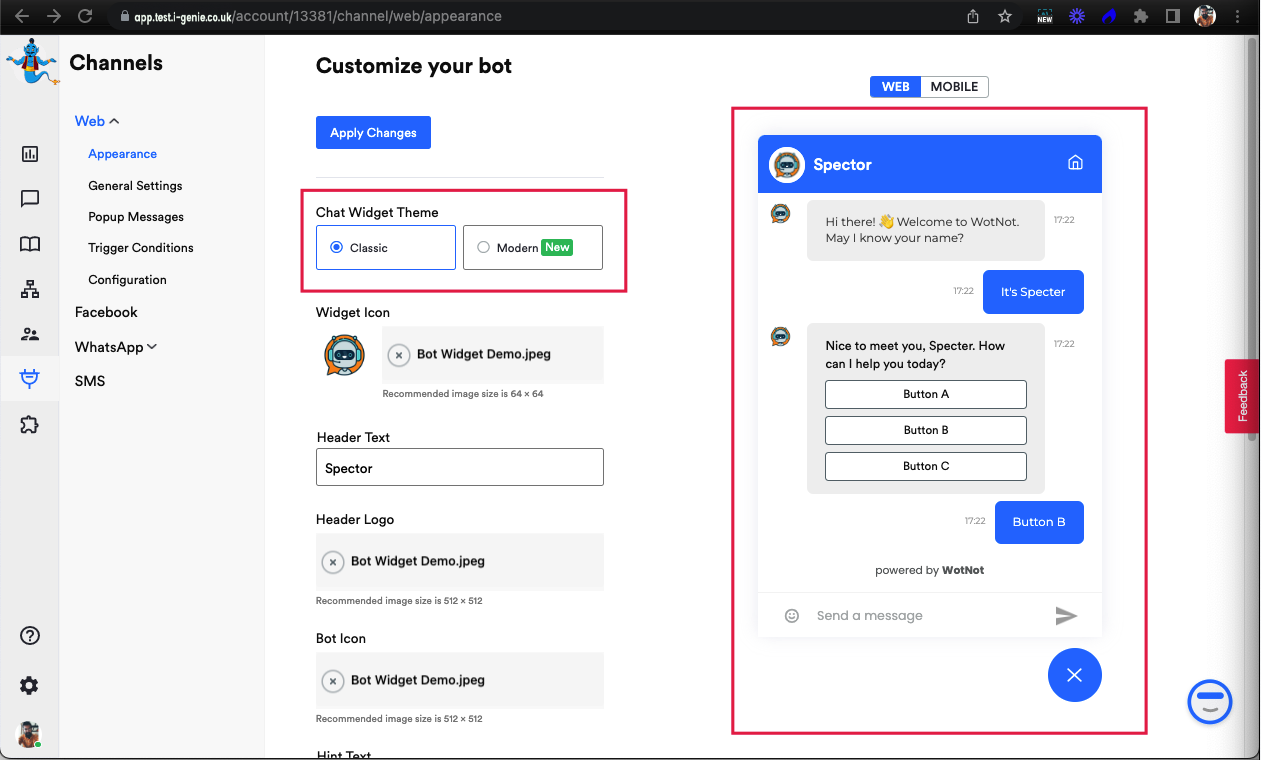 Chat Widget: Change Appearance - i-genie.co.uk
